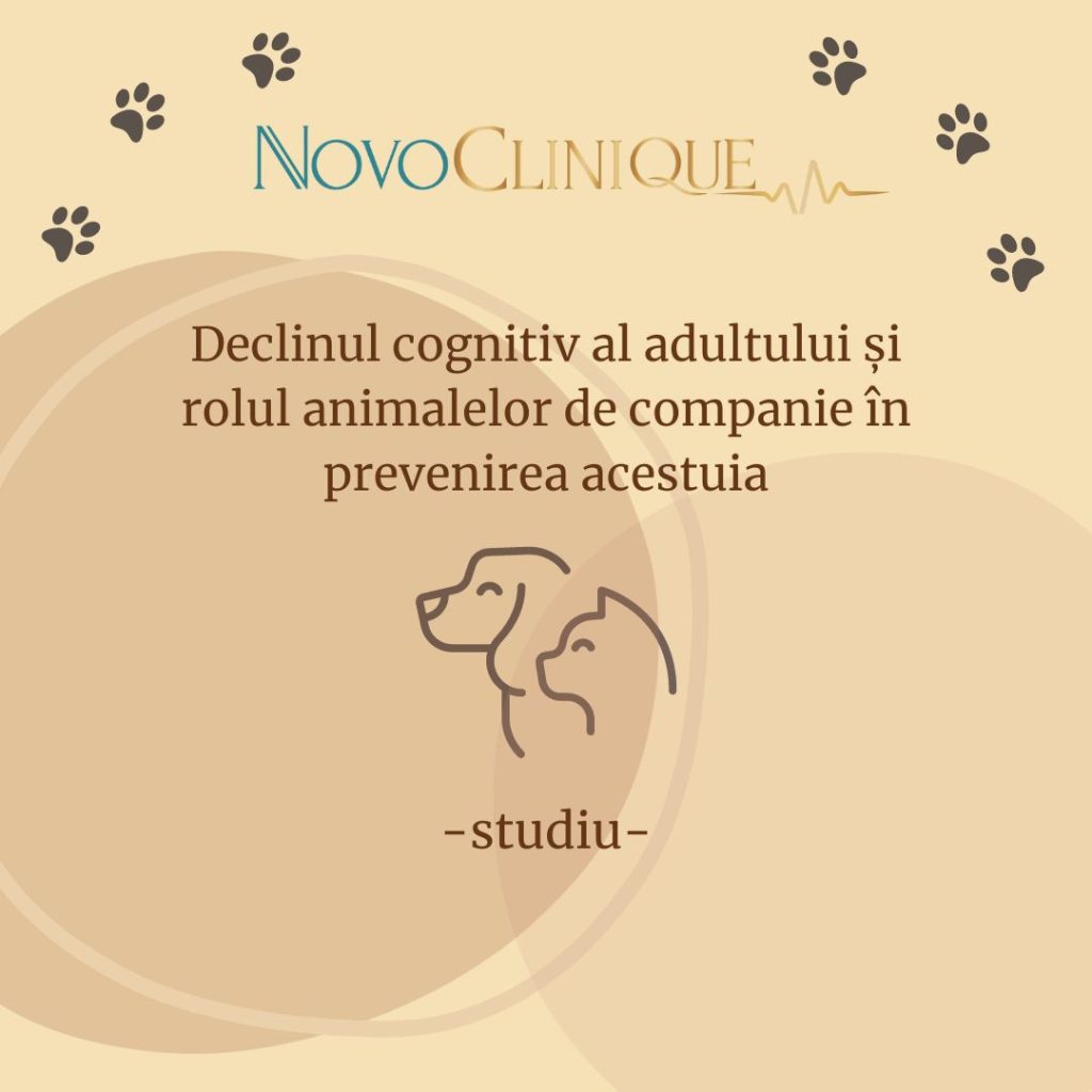 Declinul cognitiv și animalele de companie - NovoClinique